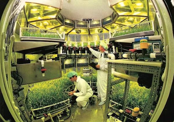 Space travel taxes astronauts’ brains. But microbes on the menu could ...