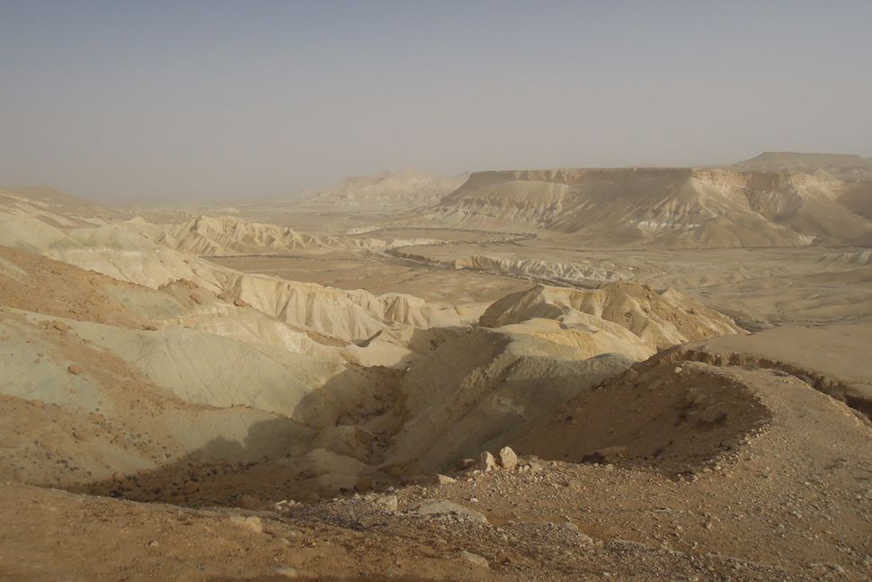 Stark Beauty: Images of Israel's Negev Desert | Live Science