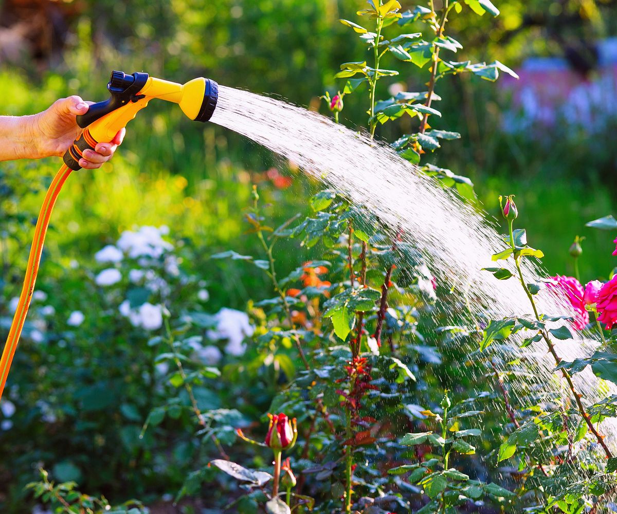 Hay fever-friendly gardening: tips for allergy sufferers | Homebuilding
