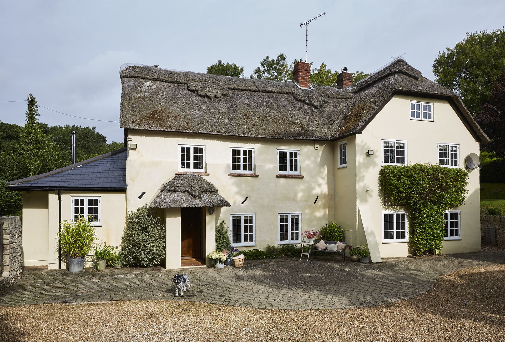 An ancient thatched cottage in Dorset updated in style | Homes and Gardens