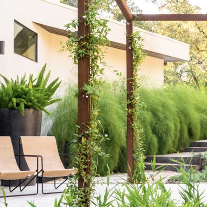 7 front door plants that make your home look more welcoming | Livingetc