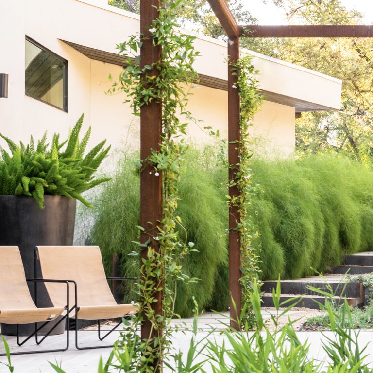 7 front door plants that make your home look more welcoming | Livingetc