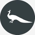 How to identify the pebbles you find on Britain's beaches | Country Life