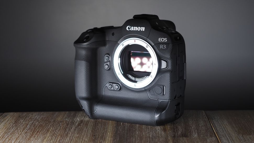 The best professional cameras in 2023 | Digital Camera World