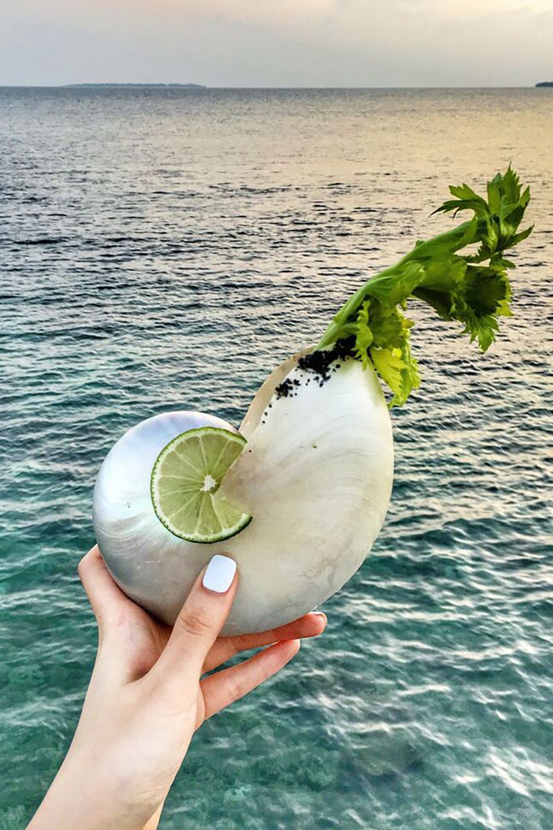 Tropical Cocktail Recipes - Island Cocktails | Marie Claire