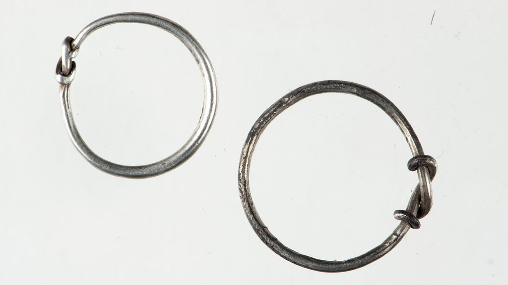 Metal detectorist stumbles across Viking treasure hoard in Norway ...