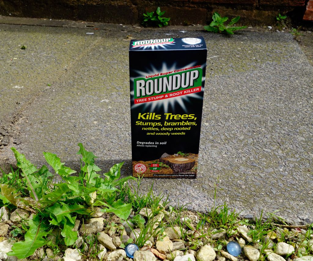 How to kill tree roots using manual and chemical methods | Homebuilding