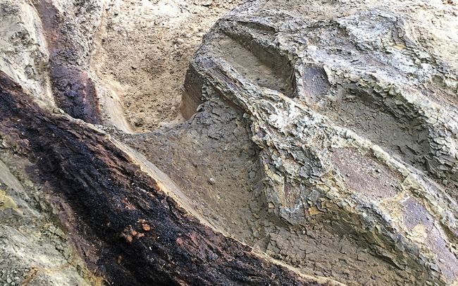 Fossil 'Death Pit' Preserves Dino Extinction Event … But Where Are the ...