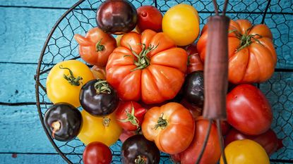 Best Heirloom Tomatoes For Every Garden & Tips For Success | Gardening ...