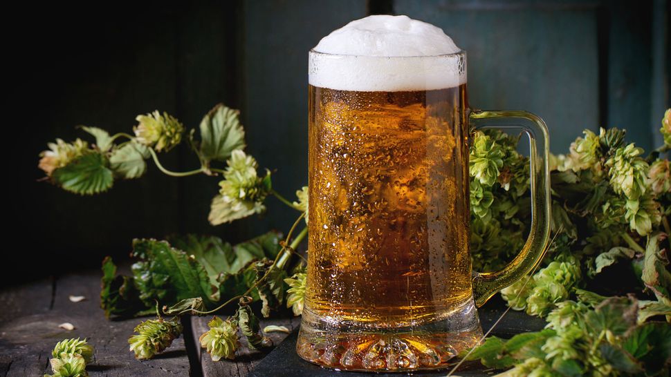 Space beer, anyone? Hops flying on SpaceX's private astronaut mission ...