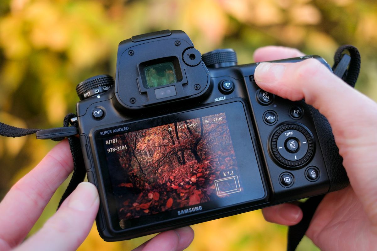 Adapt and conquer! Learn to use lens adaptors the right way | Digital ...