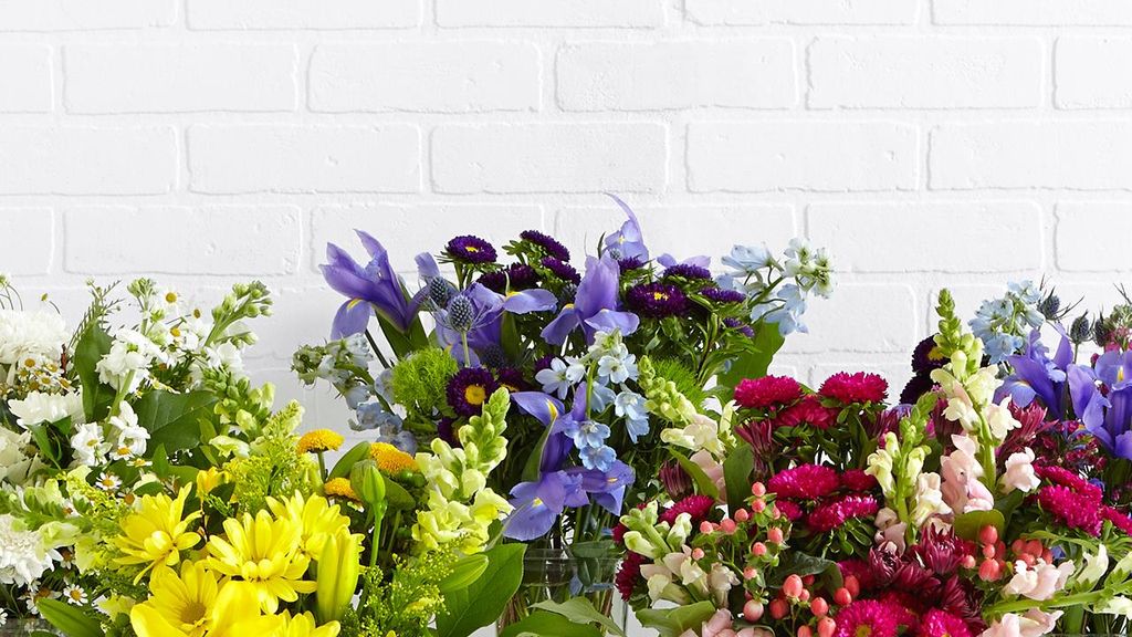 The ultimate flower care guide: Top tips for making your flowers last ...