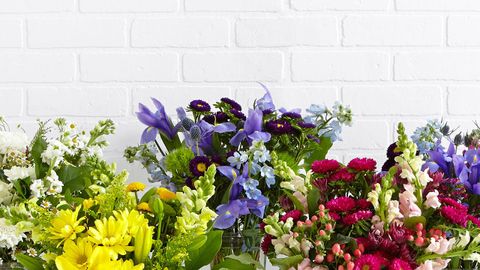 The ultimate flower care guide: Top tips for making your flowers last ...