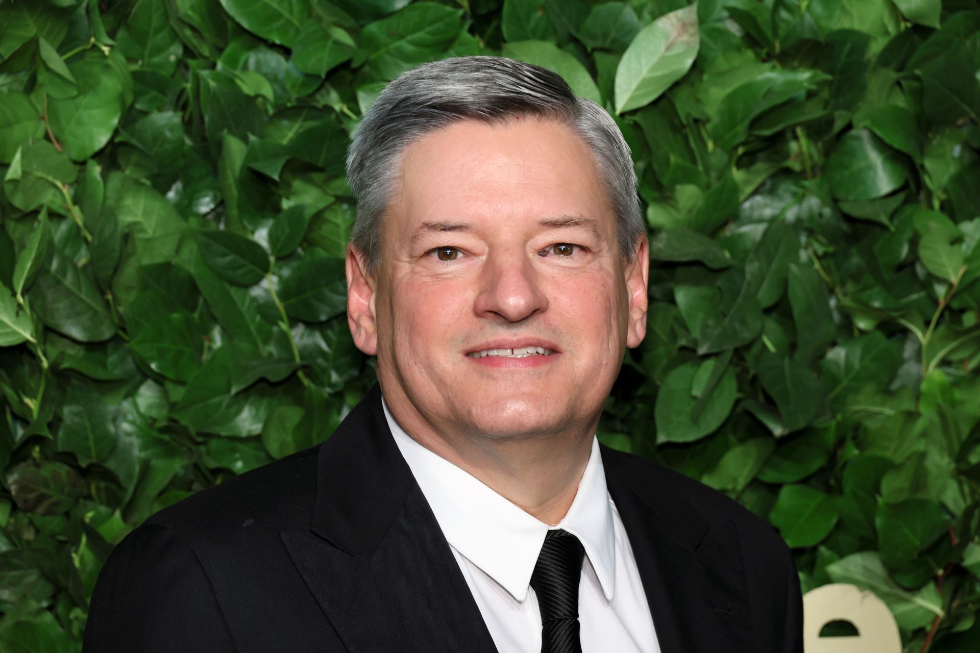 Netflix's Co-CEO Ted Sarandos Looks To Recoup Smaller Salary With ...