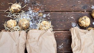 How to store spring bulbs for next year: an expert guide | Woman & Home