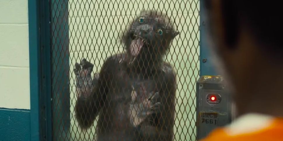 Weasel: The DC Comics Origins Of Sean Gunn's The Suicide Squad ...