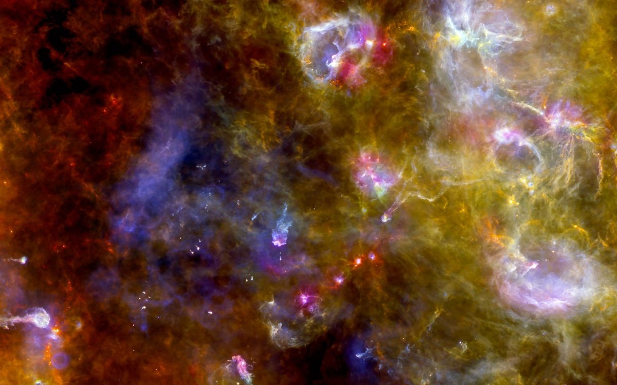 Swan Glowing in Flight Space Wallpaper | Space