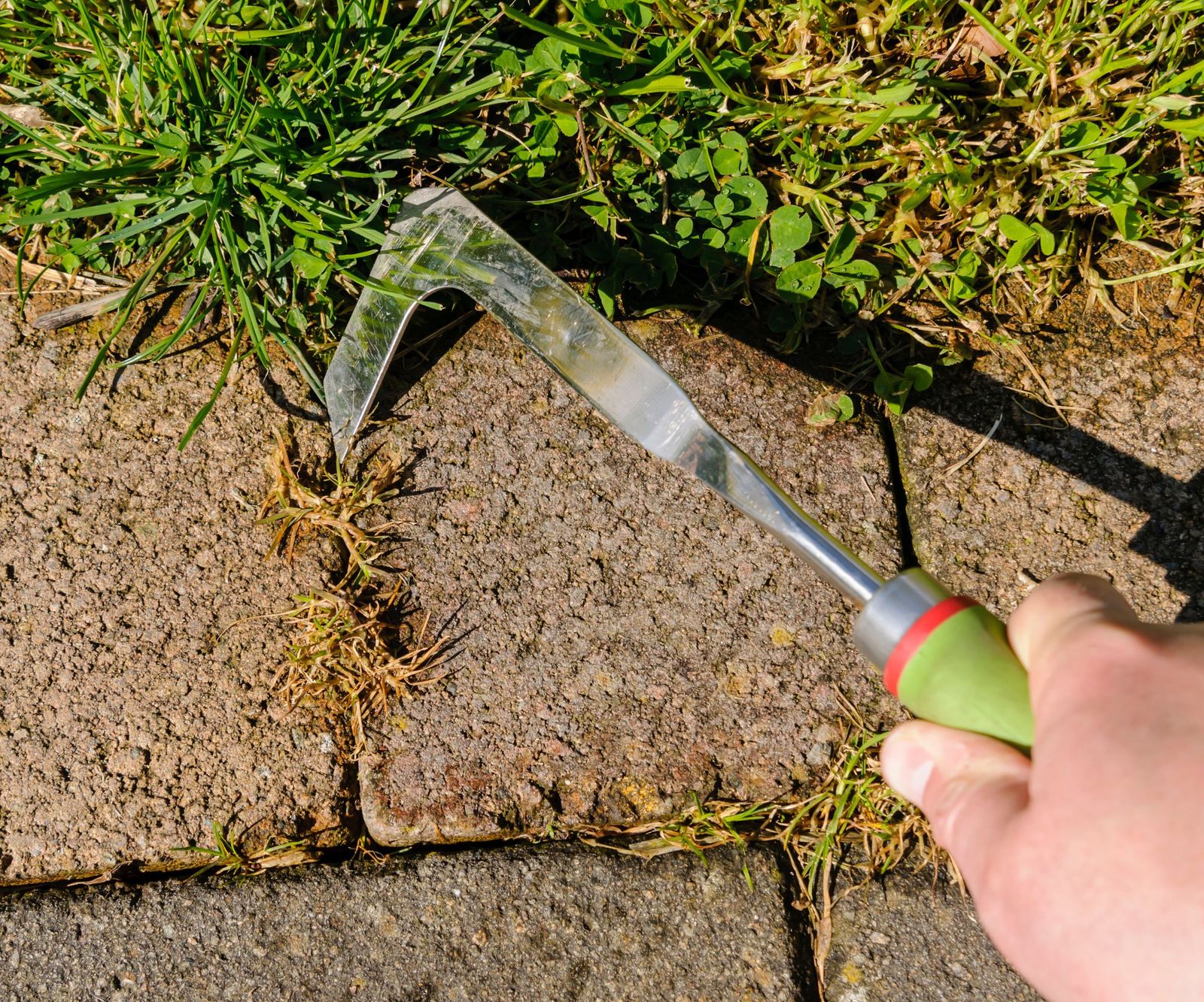 Weeder types explained – pros explore all 10 types of tool | Homes and ...