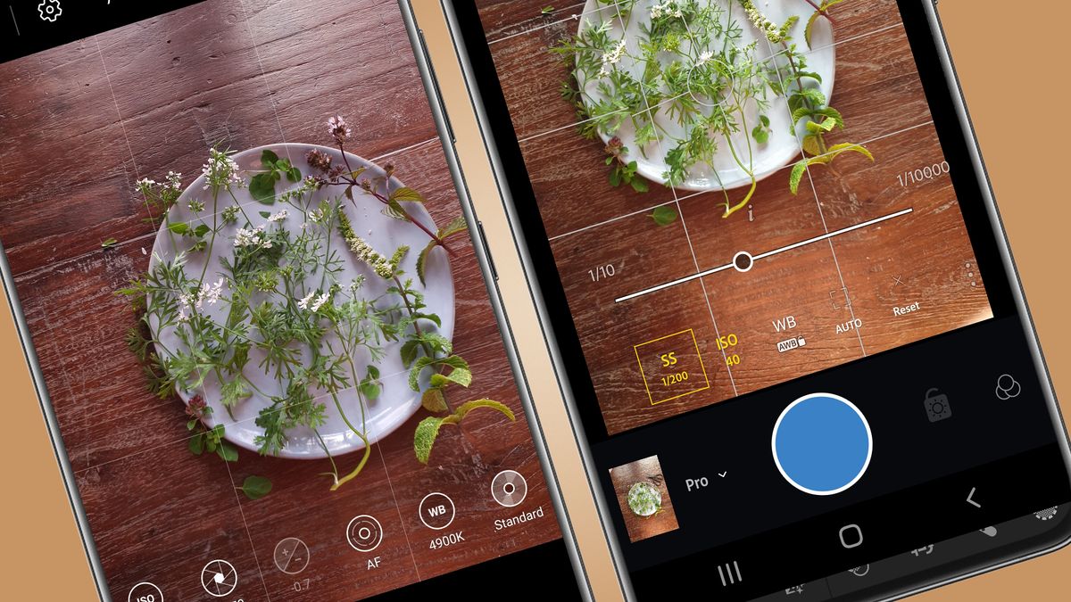 How to take professional food photos with your iPhone or Android phone ...