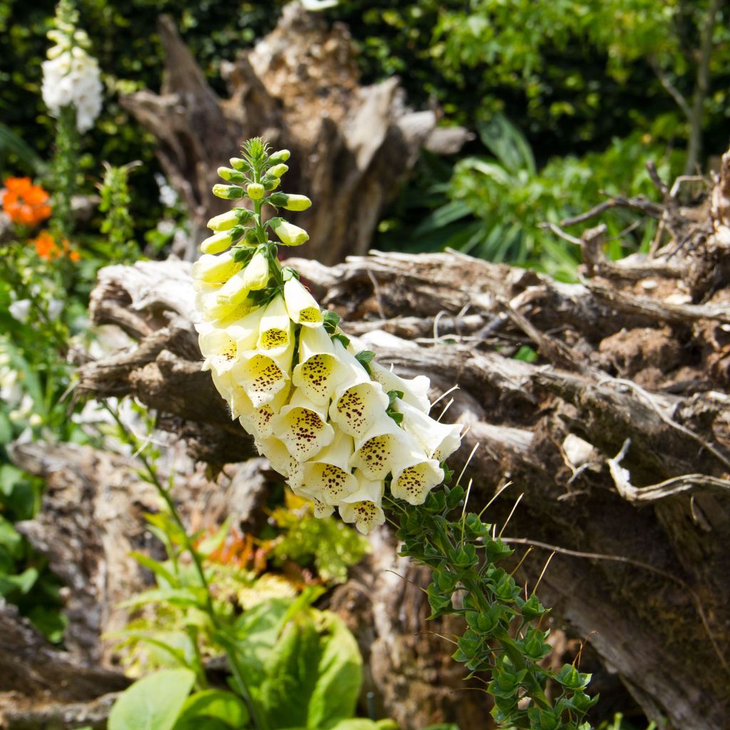 How to make a bug hotel: a step-by-step expert guide | Ideal Home