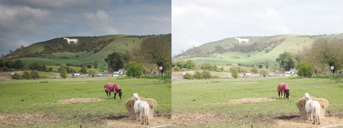 This is the coolest camera feature I've ever seen – and only one camera ...