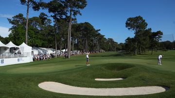 Harbour Town Greens Fees: How Much It Costs To Play RBC Heritage Venue ...