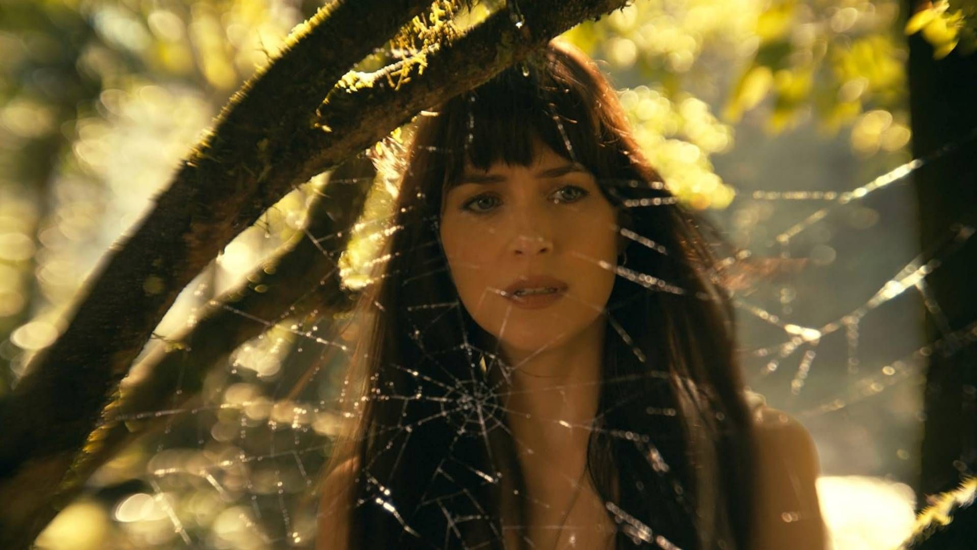 Madame Web director explains why she tweaked that iconic Spider-Man ...