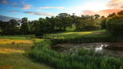 Lingfield Park Golf Course Review | Golf Monthly