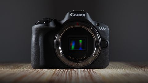 Canon APS-C cameras: These are the key differences between Canon's crop ...