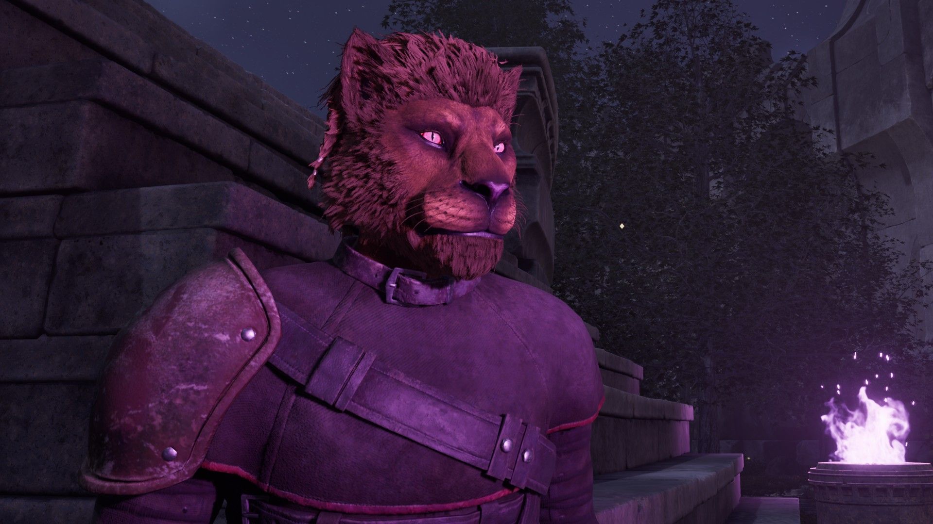 Vampirism cure in Oblivion and Oblivion Remastered | PC Gamer