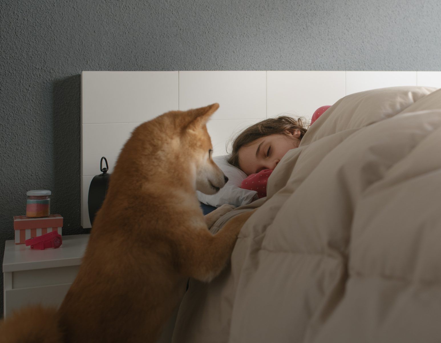 How to stop a puppy waking up at 5am, by award-winning dog trainer Ben ...