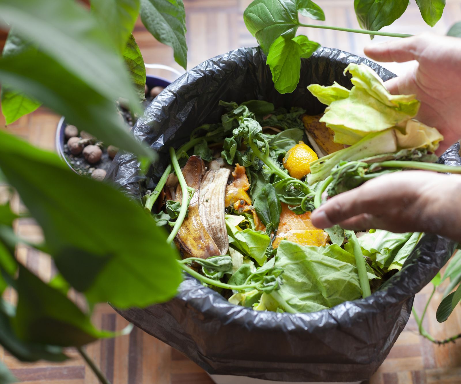 Guide to hot composting – expert advice on how to make it | Homes and ...