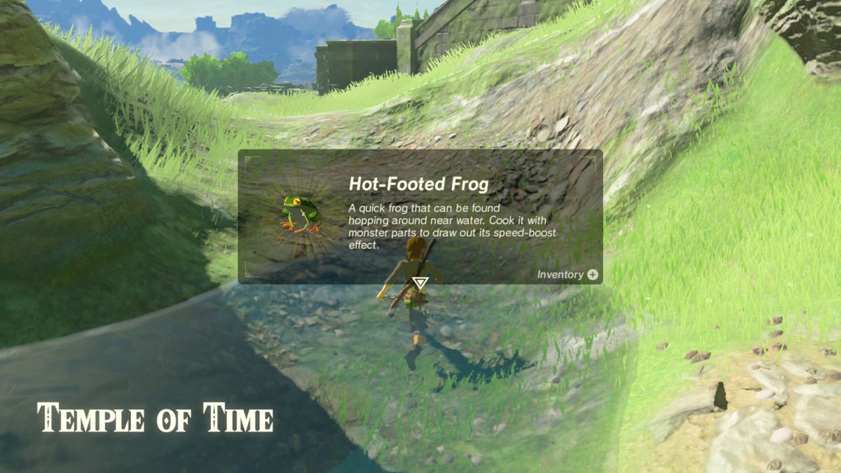 Legend of Zelda: Breath of the Wild elixir recipes - The Legend of ...