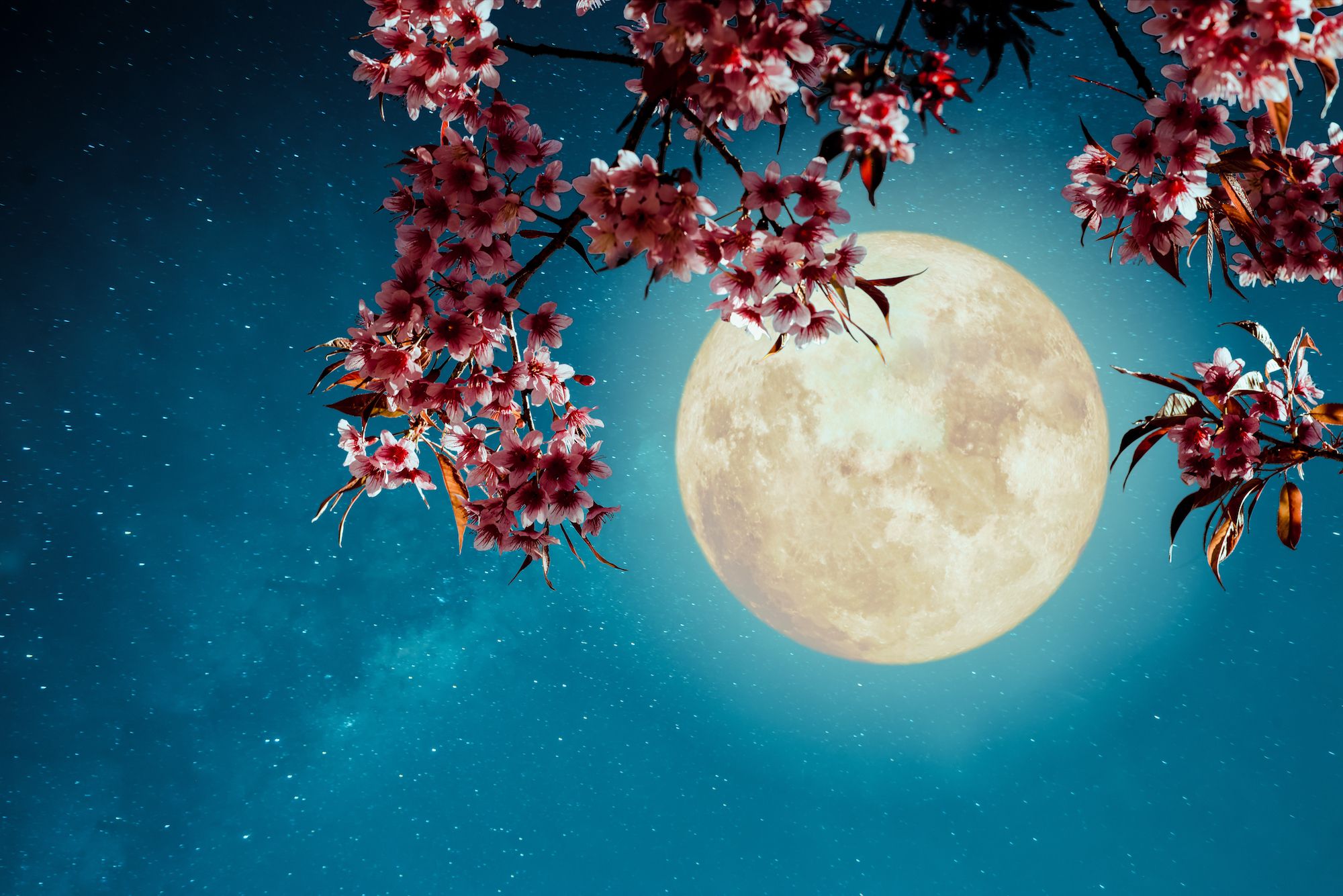 How to see the last supermoon of 2020 | Live Science