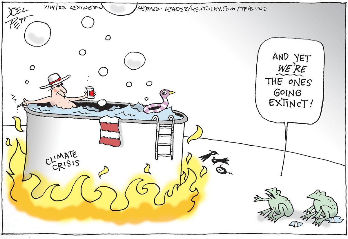 The new frog | The Week