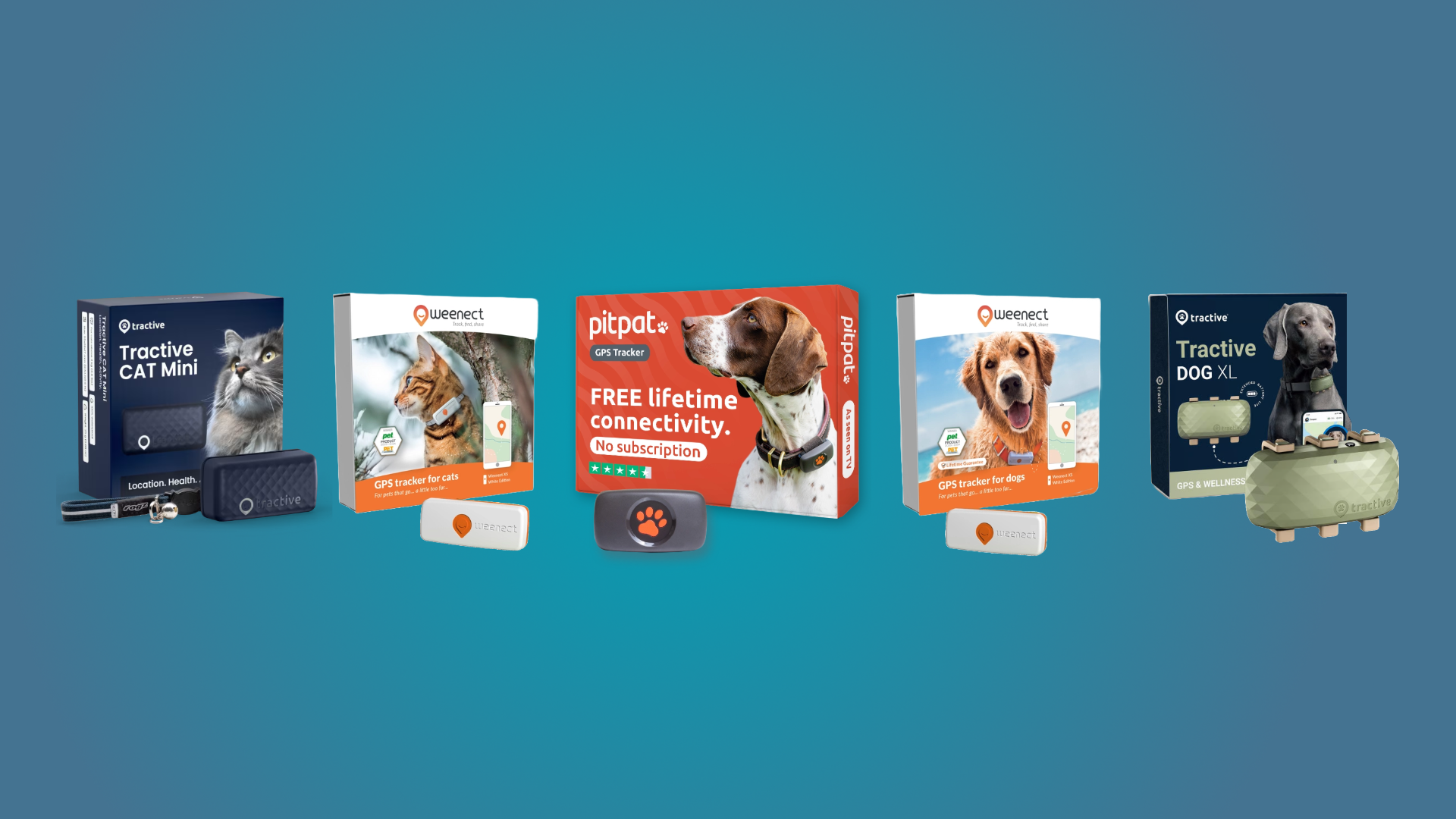 Best GPS trackers for pets: 5 tried-and-tested options to track ...