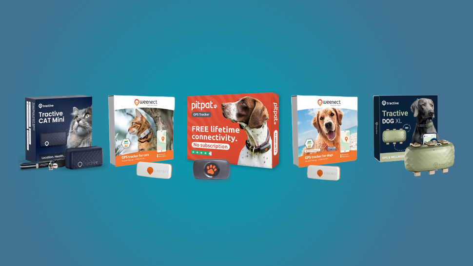 Best GPS trackers for pets: 5 tried-and-tested options to track ...