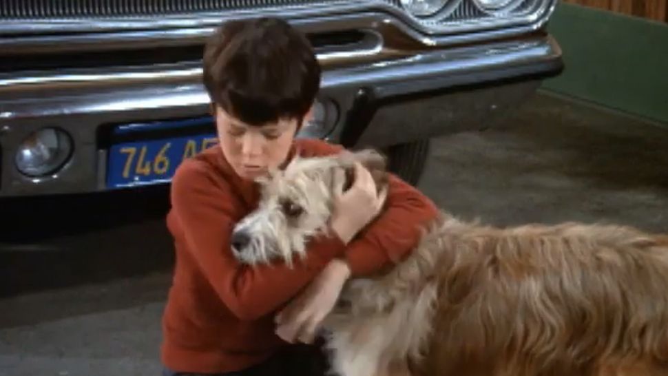 TV Characters That Just Vanished With No Explanation | Cinemablend