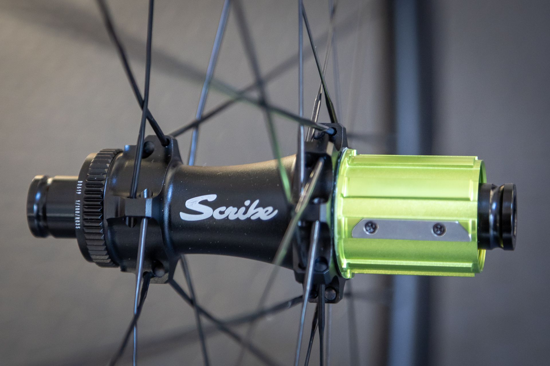 Scribe Core SL+ 50 carbon wheelset - high performance, low cost ...