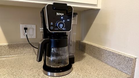 Ninja Dual Brew Pro review | Top Ten Reviews