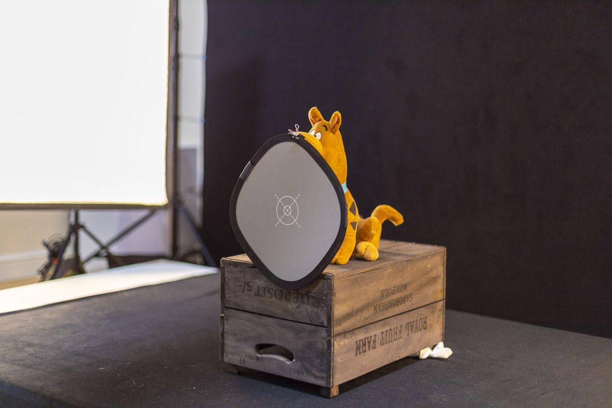 10 pro photo tips for perfect pet portraits at home and outdoors ...