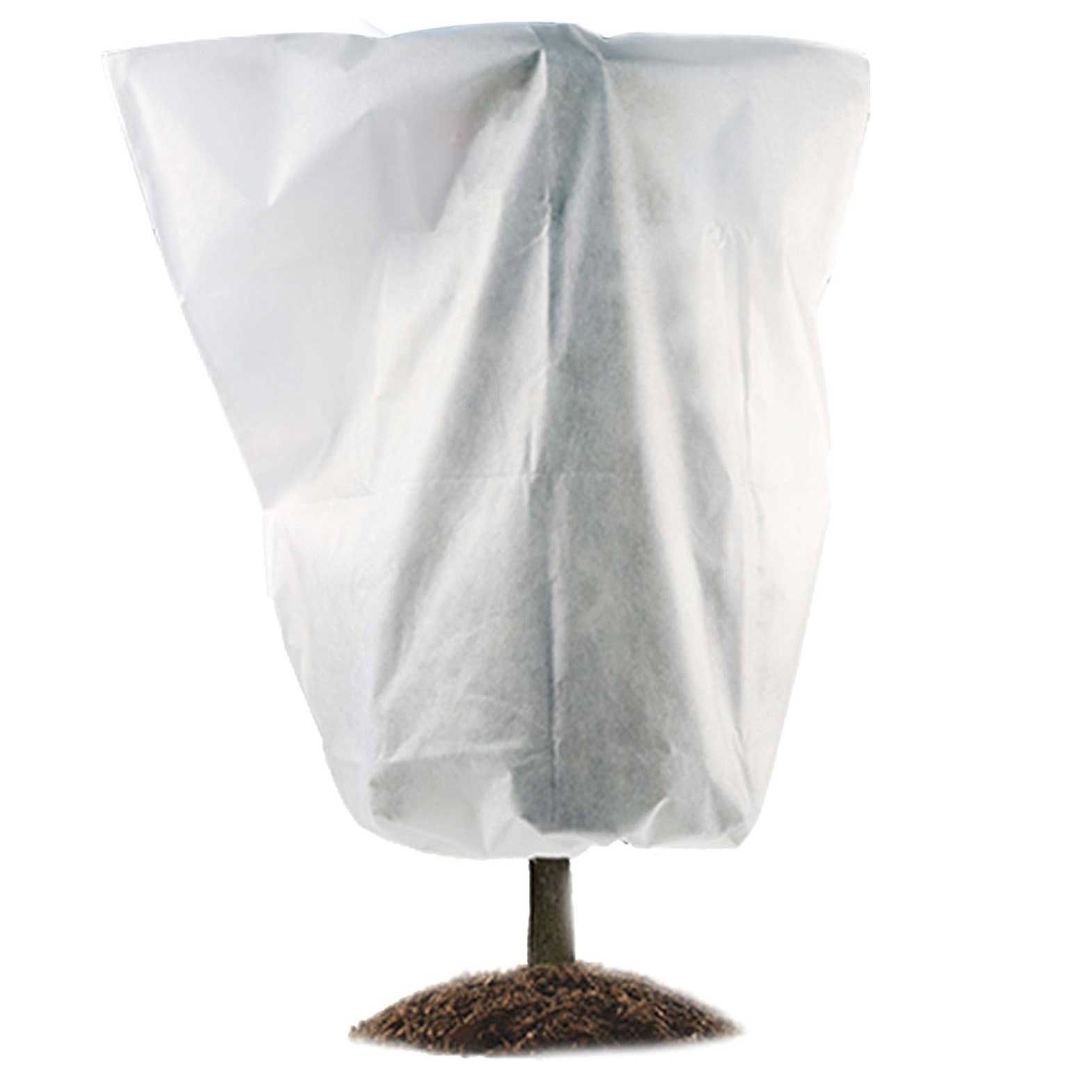 Now's the time to fleece wrap your plants for winter - here's what to ...