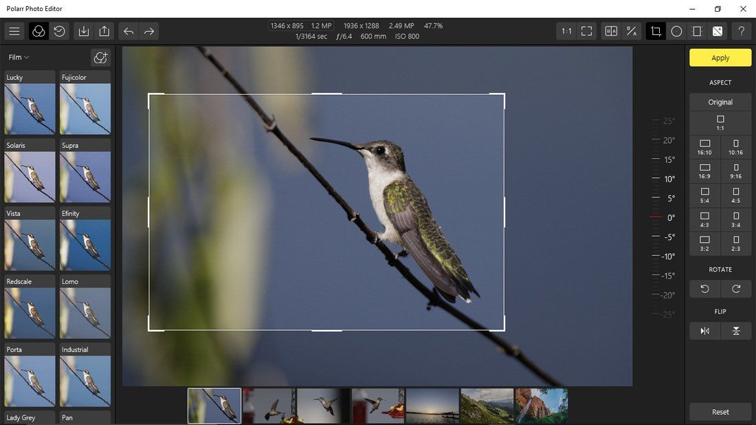 Polarr Photo Editor – a pro-styled editor from the Windows 10 Store ...
