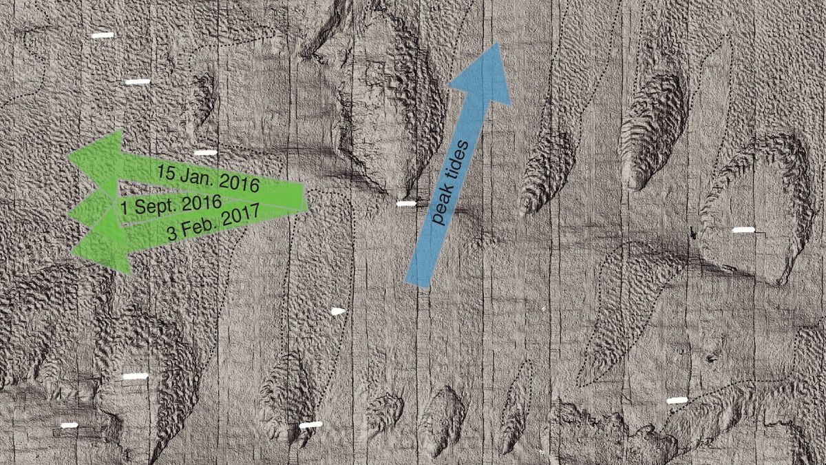 Clearest-ever seafloor maps show deep-sea 'Grand Canyon' off US coast in stunning detail | Live ...