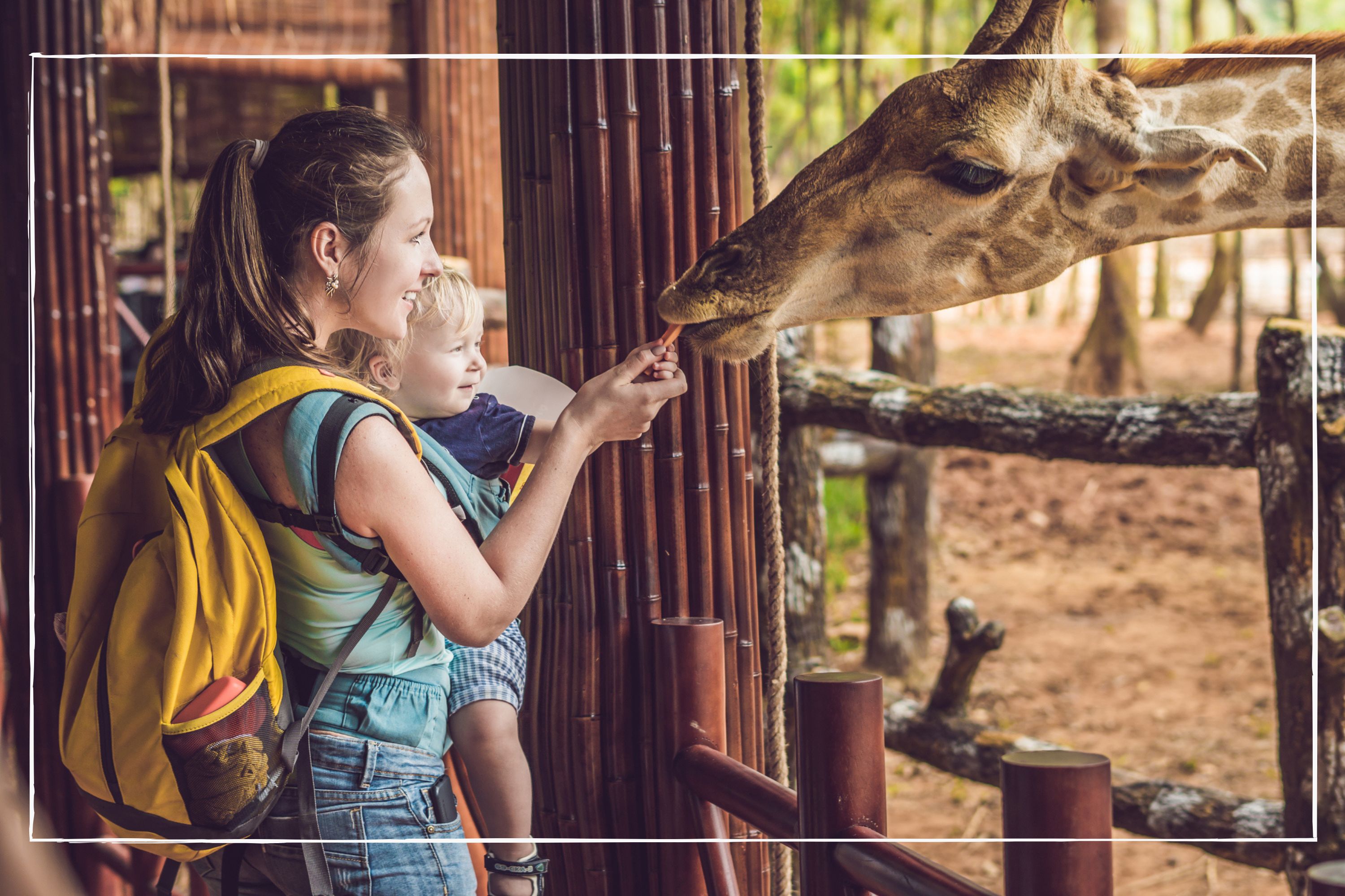 10 best zoos in the UK based on prices and value for money | GoodtoKnow