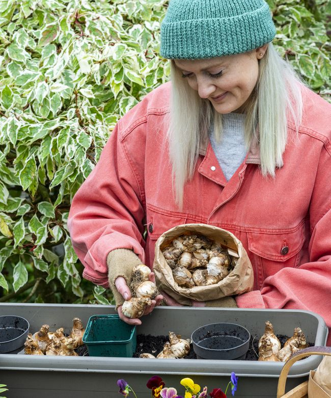 The best spring bulb deals available right now | Homebuilding