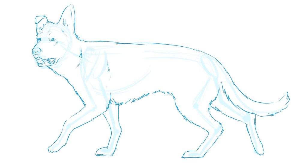How to draw a dog | Creative Bloq