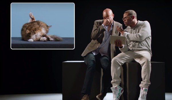 Watch Key And Peele Audition Cats In A Hilarious Viral For Keanu ...