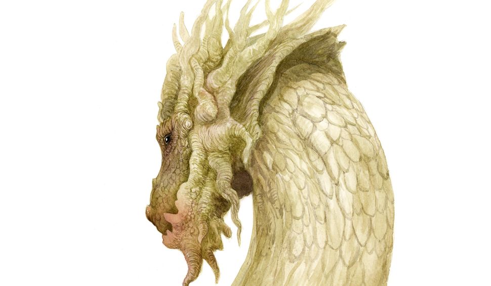 How to design believable fantasy beasts | Creative Bloq