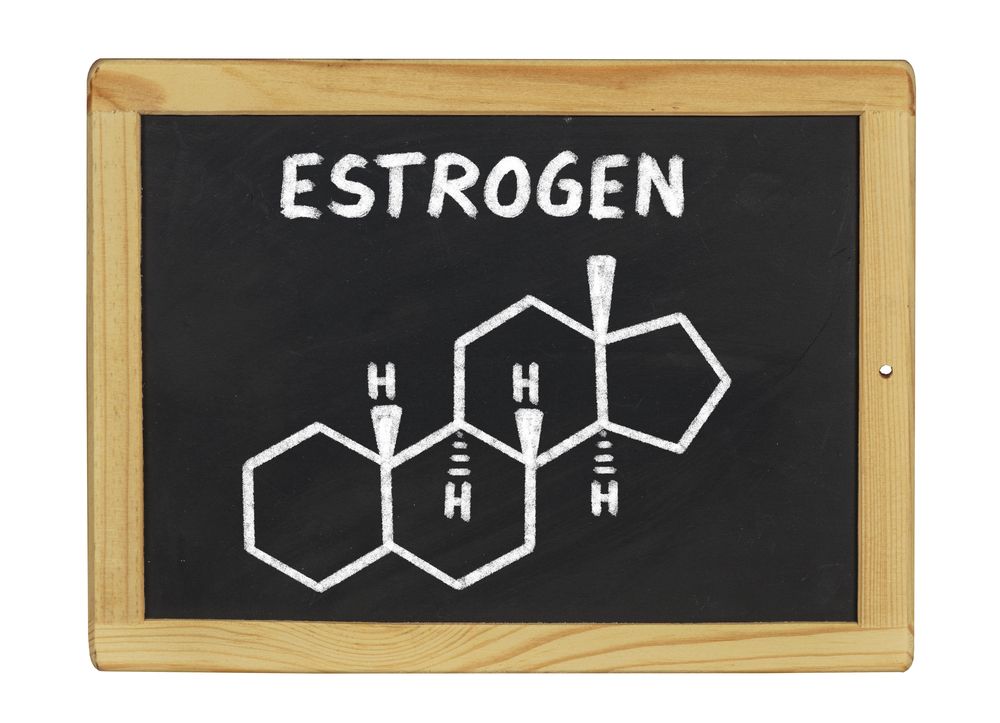 What Is Estrogen? | Live Science